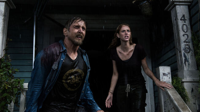 Crawl - Intrappolati | Mediaset Infinity