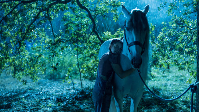 Silverstar | Mediaset Infinity