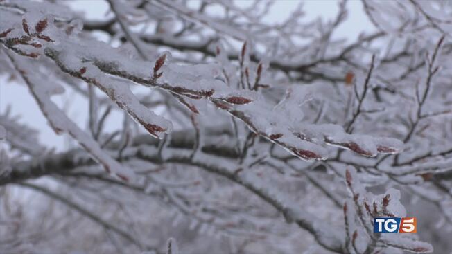 Neve, vento e pioggia. Allerta anche domani