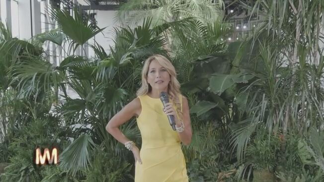 Lacoste: la collezione per l'estate 2017 - Modamania Video | Mediaset ...